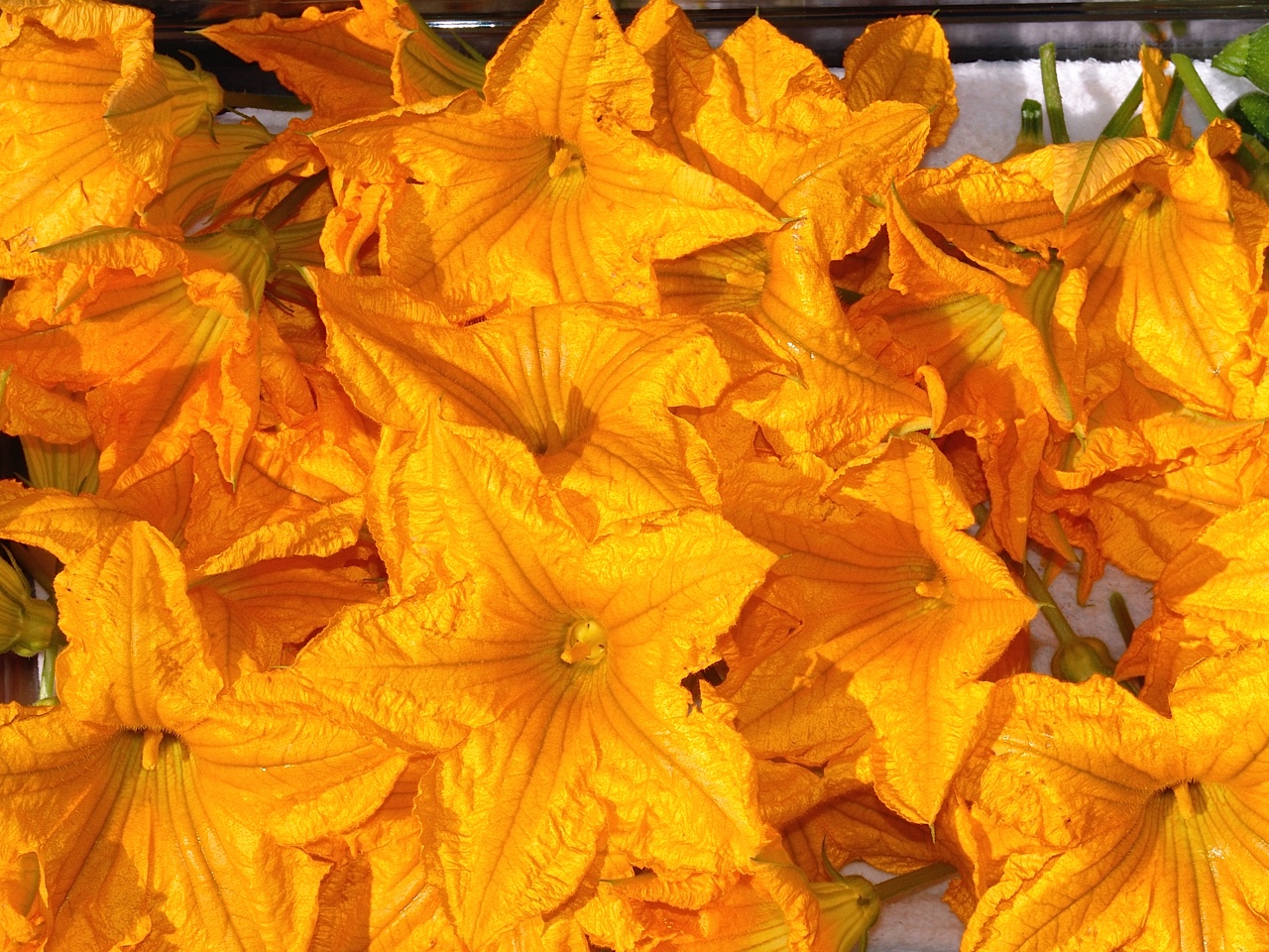 Last Scottsdale Market for the season… | McClendon's Select